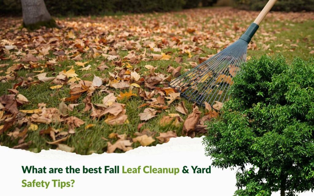 Fall Leaf Cleanup & Yard Safety Tips | Perez Landscape